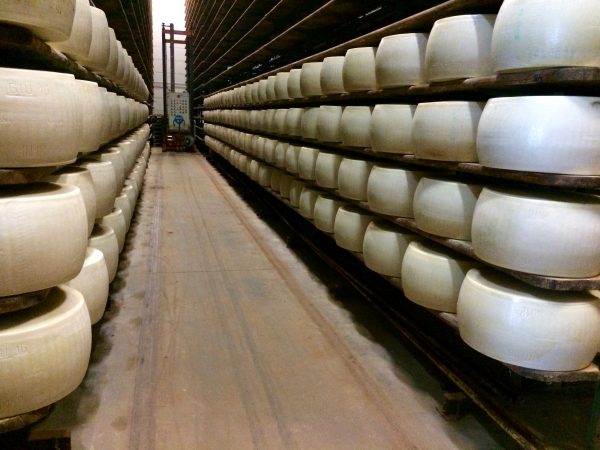 A Modena Food Tour of Parmigiano Reggiano and Balsamic Vinegar