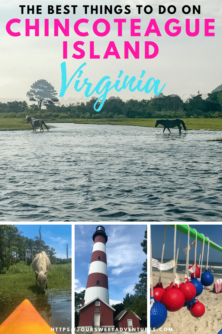 A Summer Guide of Things to Do in Chincoteague, Virginia - Our Sweet ...