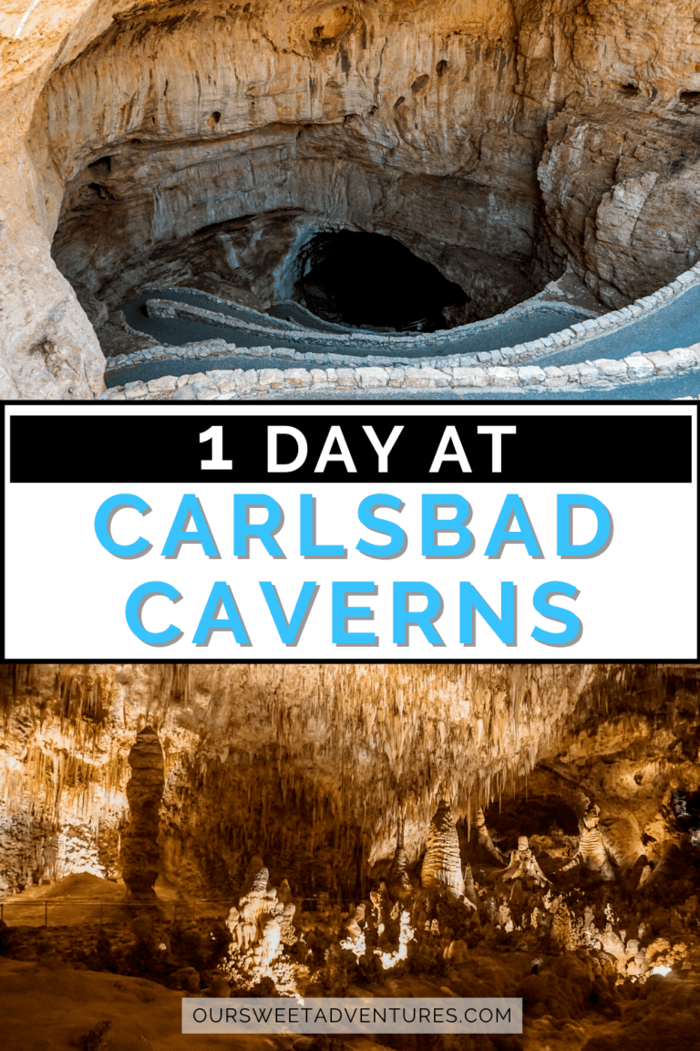 Best Things to Do in Carlsbad Caverns National Park - 1 Day Itinerary