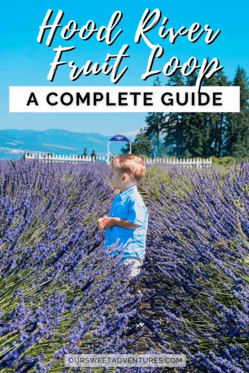 The Best Stops on the Hood River Fruit Loop - A Complete Guide
