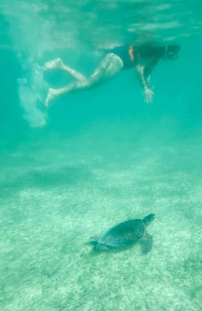 Amazing Things to Do in Akumal, Mexico – A Complete Travel Guide - Our ...