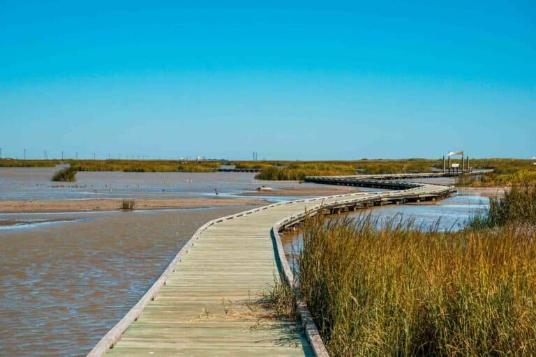 Best Things to Do in Port Arthur, Texas - A Weekend Guide
